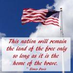 45 Most Famous Veterans Day Quotes To Honor Those Who Have Served ...